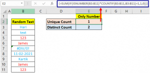 How to Count Unique and Distinct Values in Excel – LearnYouAndMe